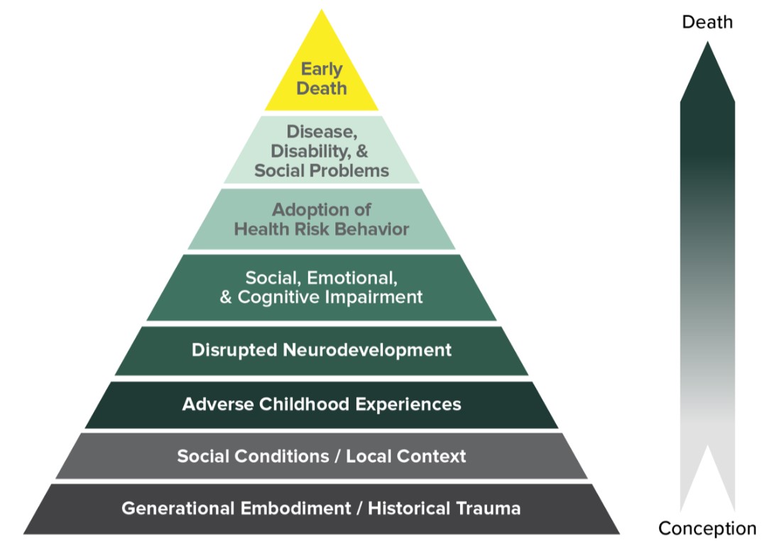Wednesday With Dr. Warren: The Effects of Adverse Childhood Experiences ...